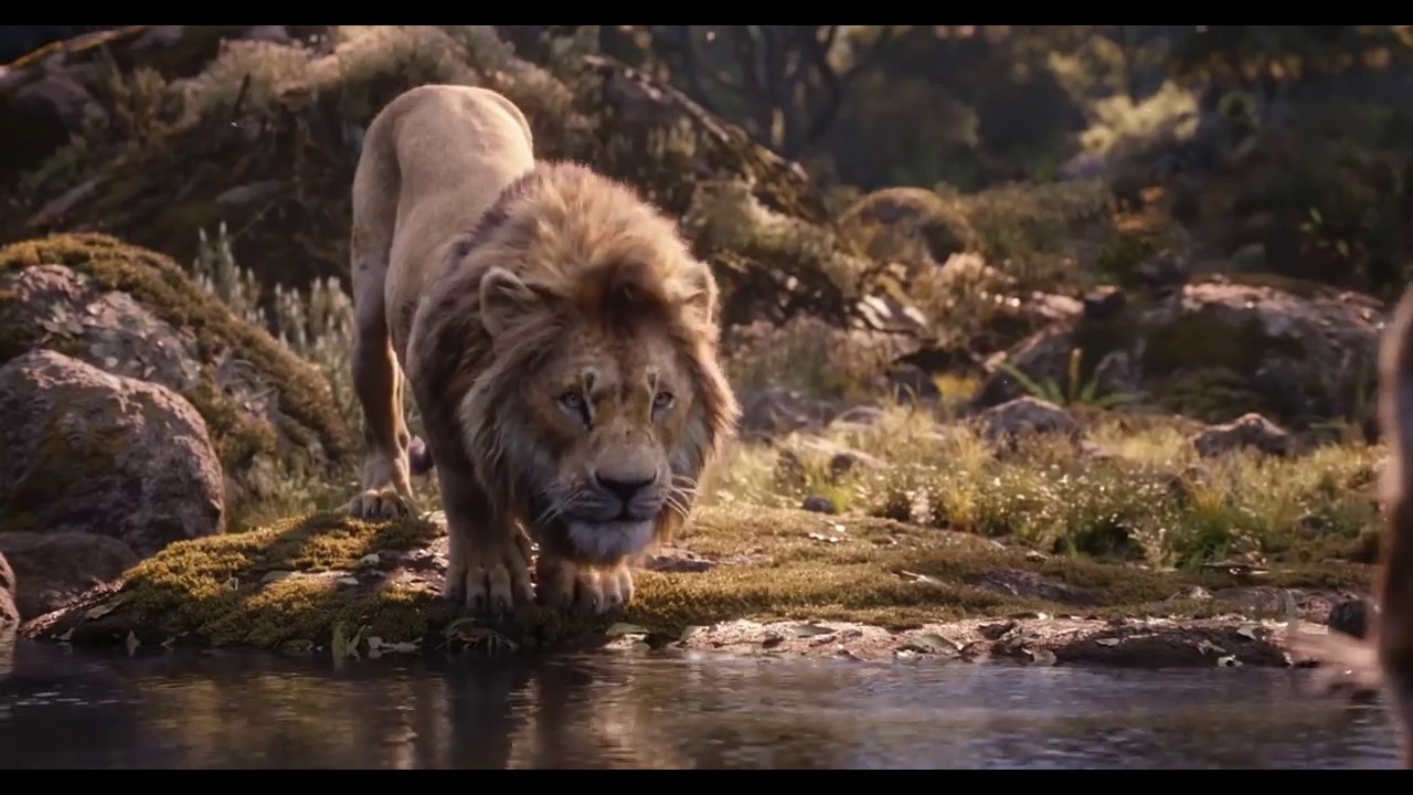 Ο ΒΑΣΙΛΙΑΣ ΤΩΝ ΛΙΟΝΤΑΡΙΩΝ (THE LION KING) - Kalamata IN