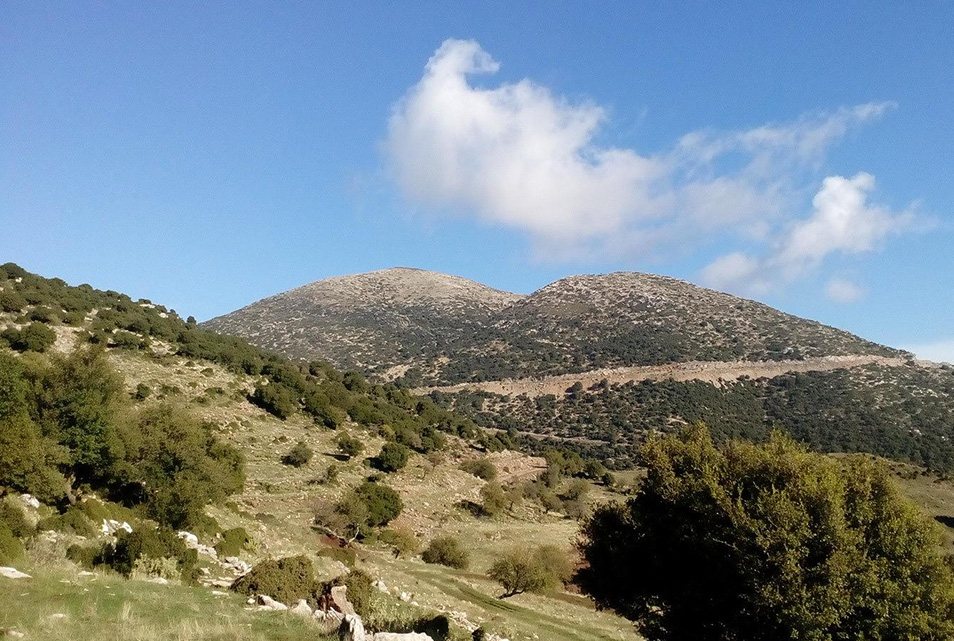 Ανάβαση στο Τετράζιο Όρος προγραμματίζει ο Ορειβατικός Σύλλογος Καλαμάτας